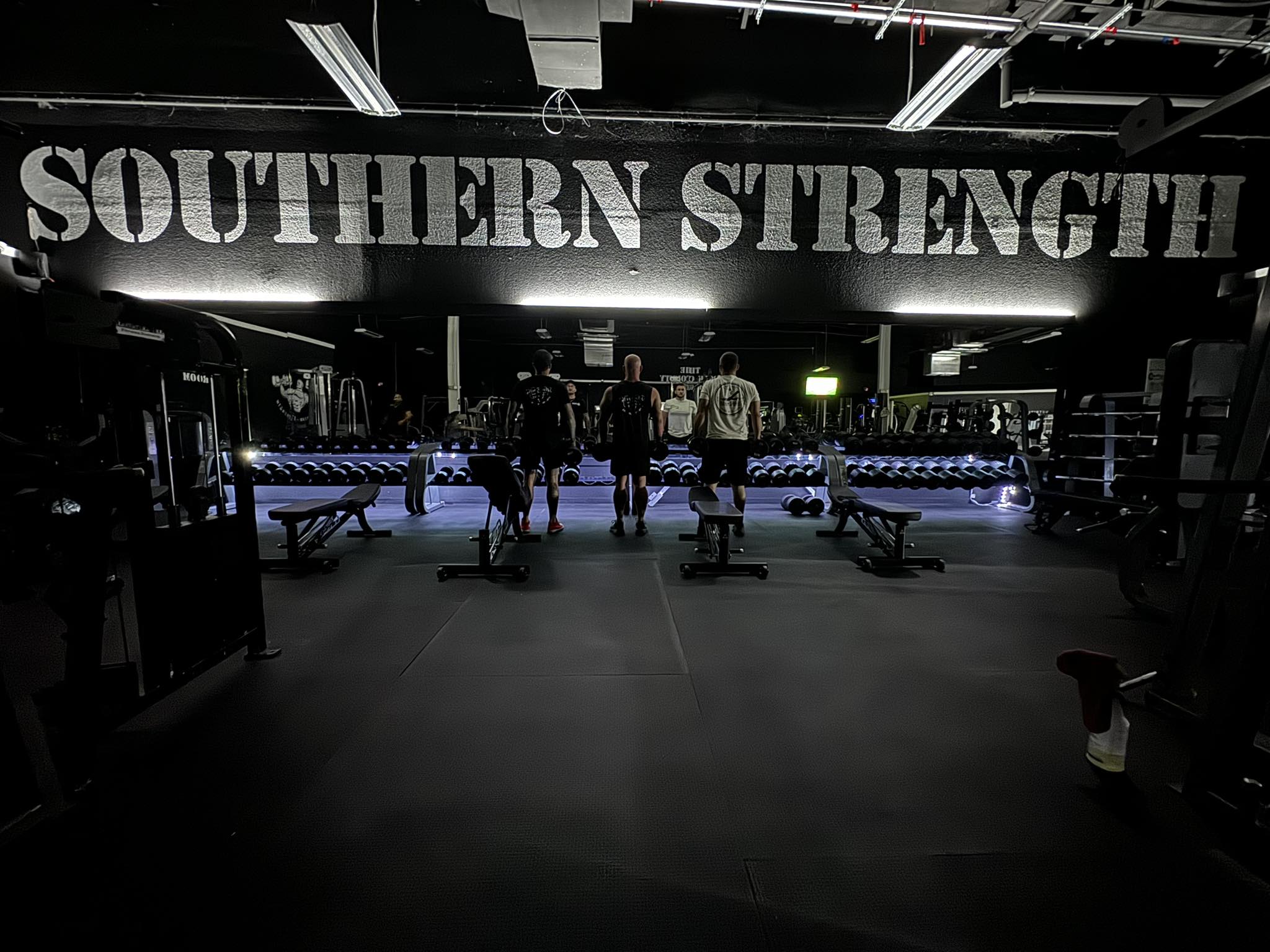 Southern Strength